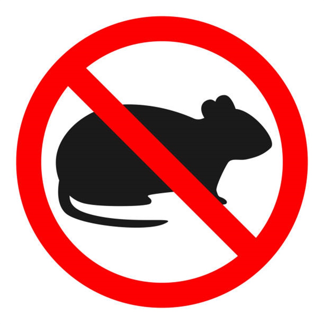 Rodent Control Tips - City of Clearwater