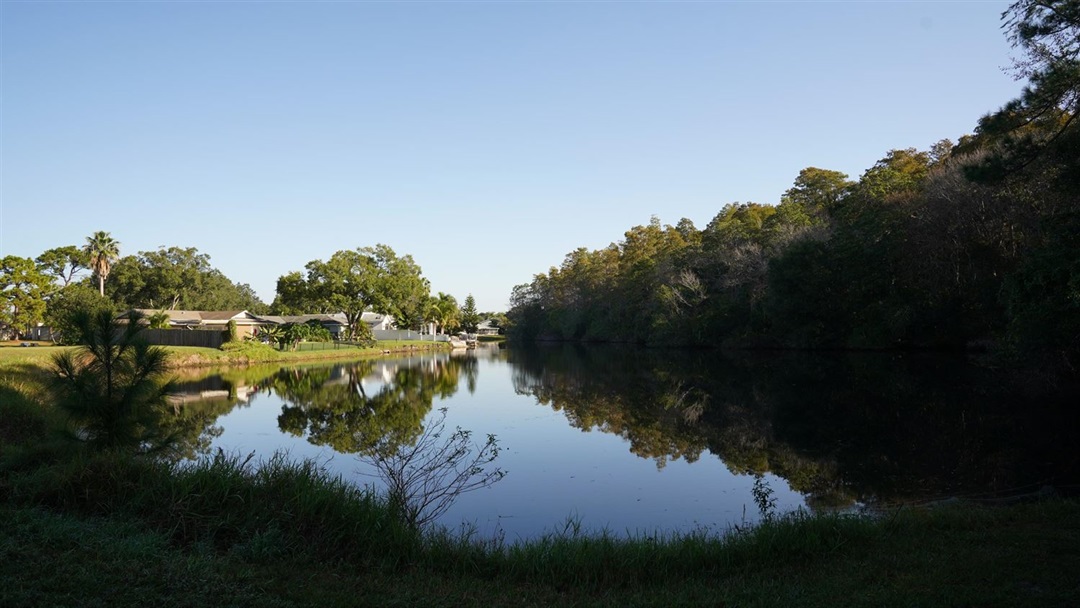 Cypress Bend Park - City of Clearwater