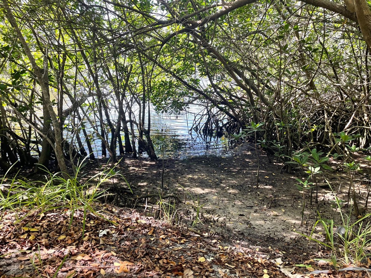 Overbrook Park - City of Clearwater